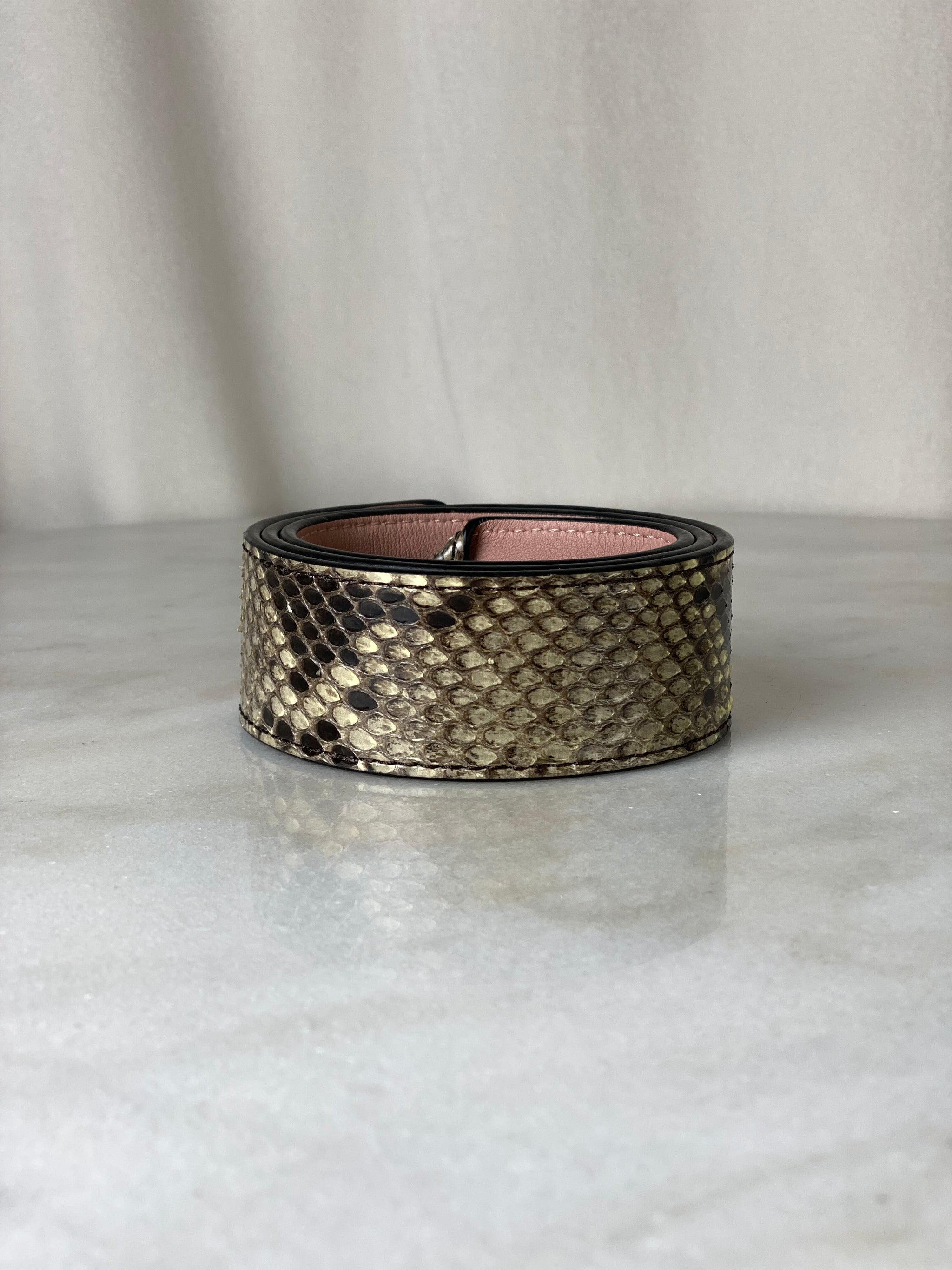 Louis Vuitton Bicolor Python Bandouliere Strap Bag